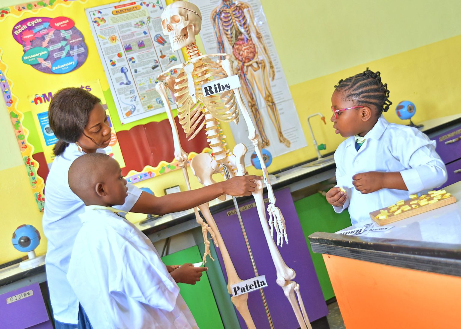 Best Private Mixed School In Lagos, Magodo GRA 2026 - SEFS